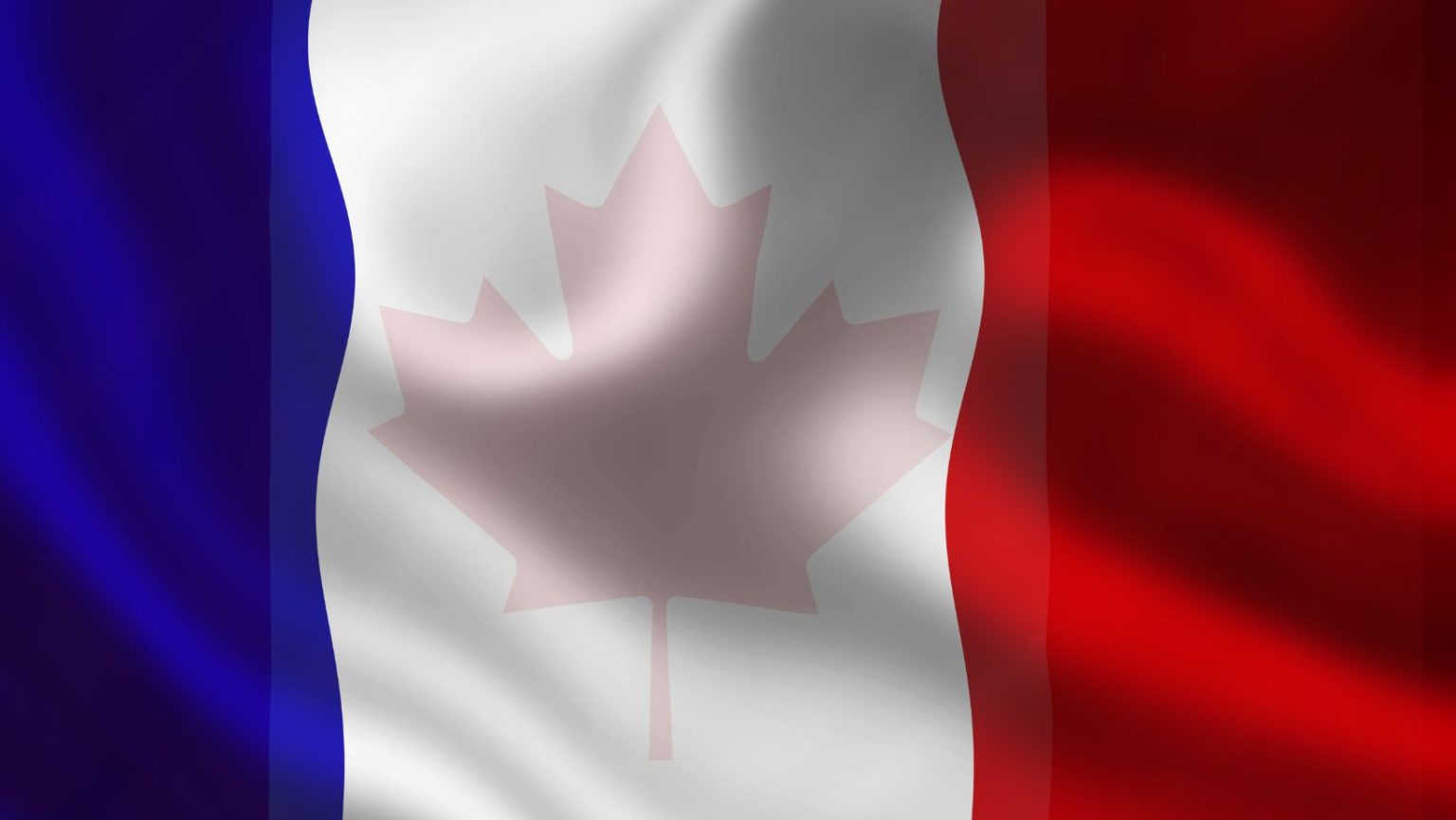 Demystifying the Francophone Mobility Program: A Guide to French ...