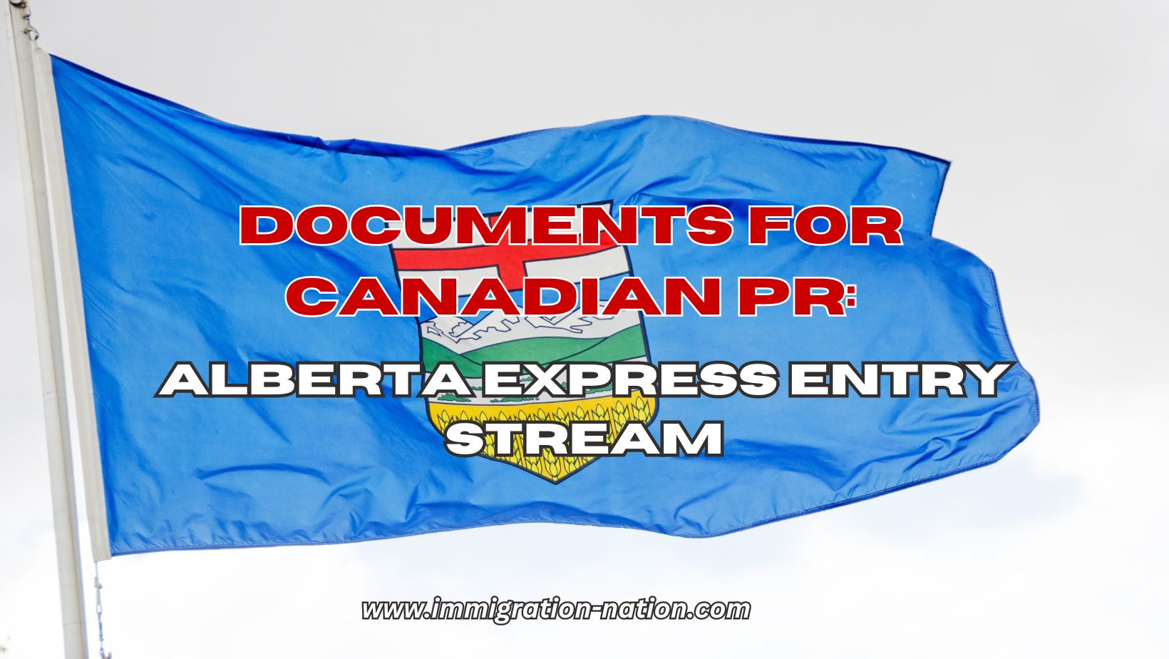 Best Immigration Consultant Edmonton || Immigration Consultant Services