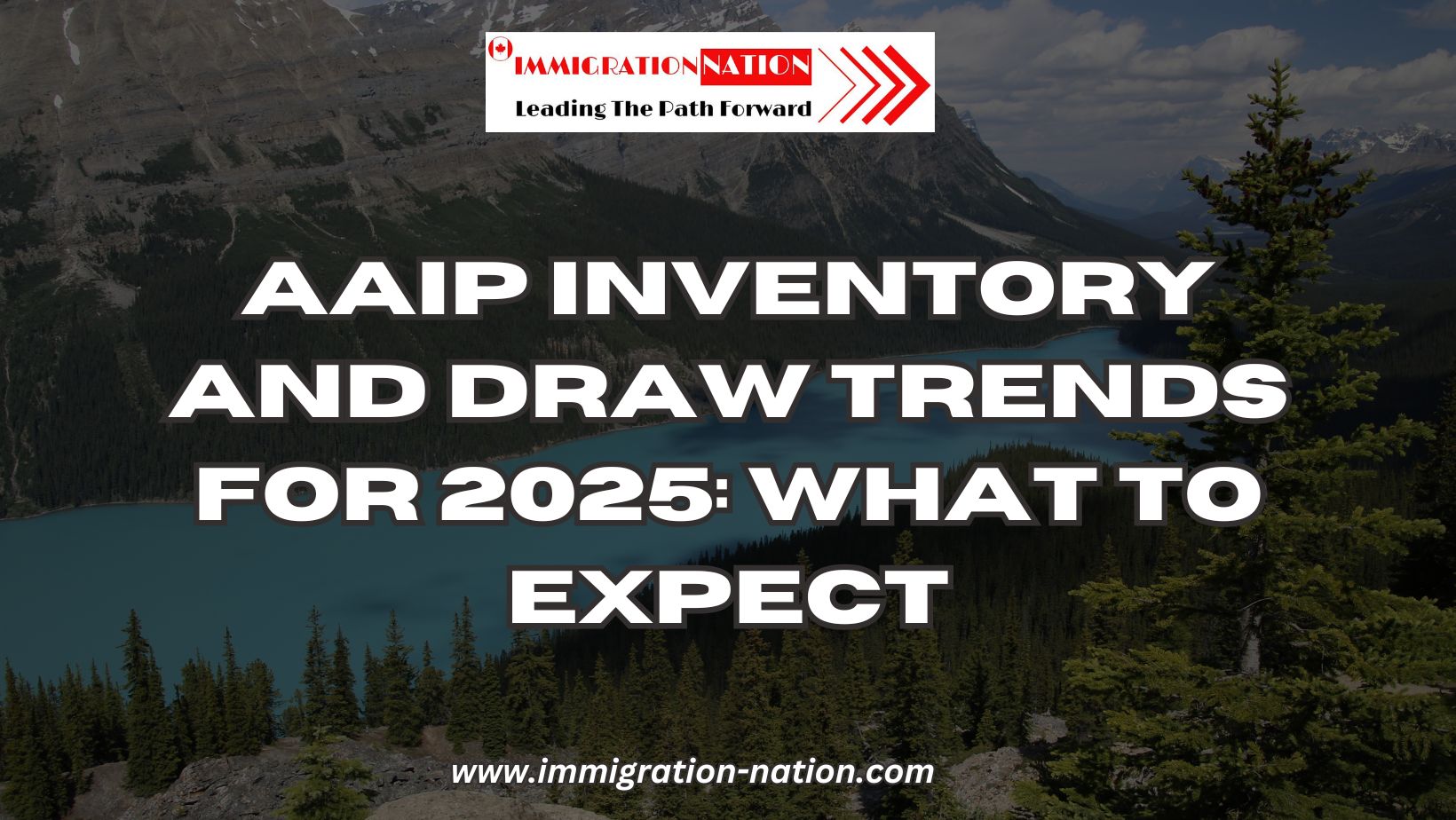 Alberta Express Entry Stream (Oct–Dec 2024) Recap and 2025 Outlook ...